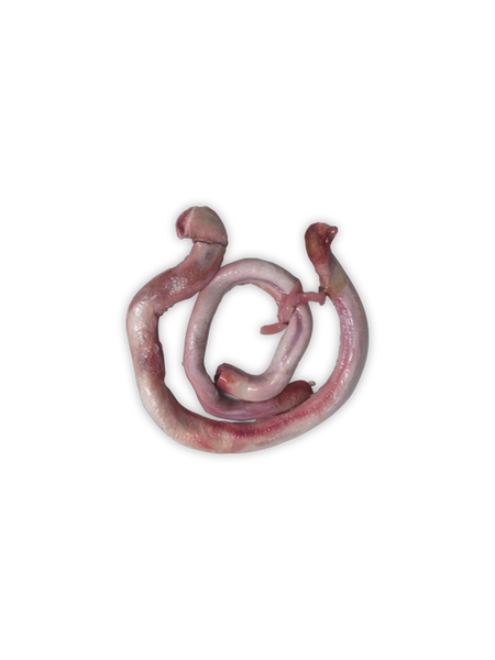 Frozen Lamb Pizzle 1kg – Marketstall.SG - Fresh Meat & Seafood