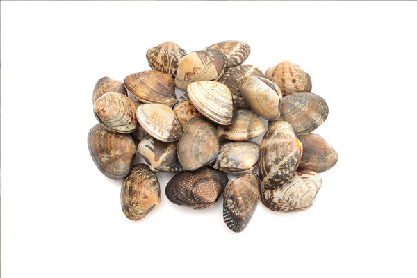 Frozen Asari Clam/Flower Clam (Short neck clam) 500gm/pkt – Marketstall ...
